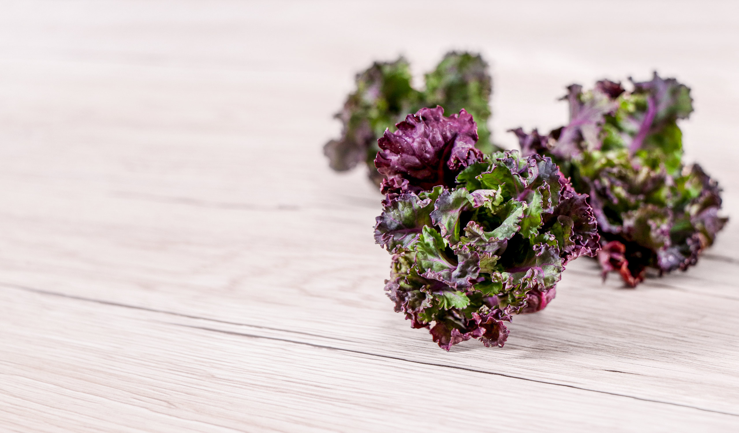 Kalettes.ch – Kalettes, das Gemüse mit dem gewissen Etwas