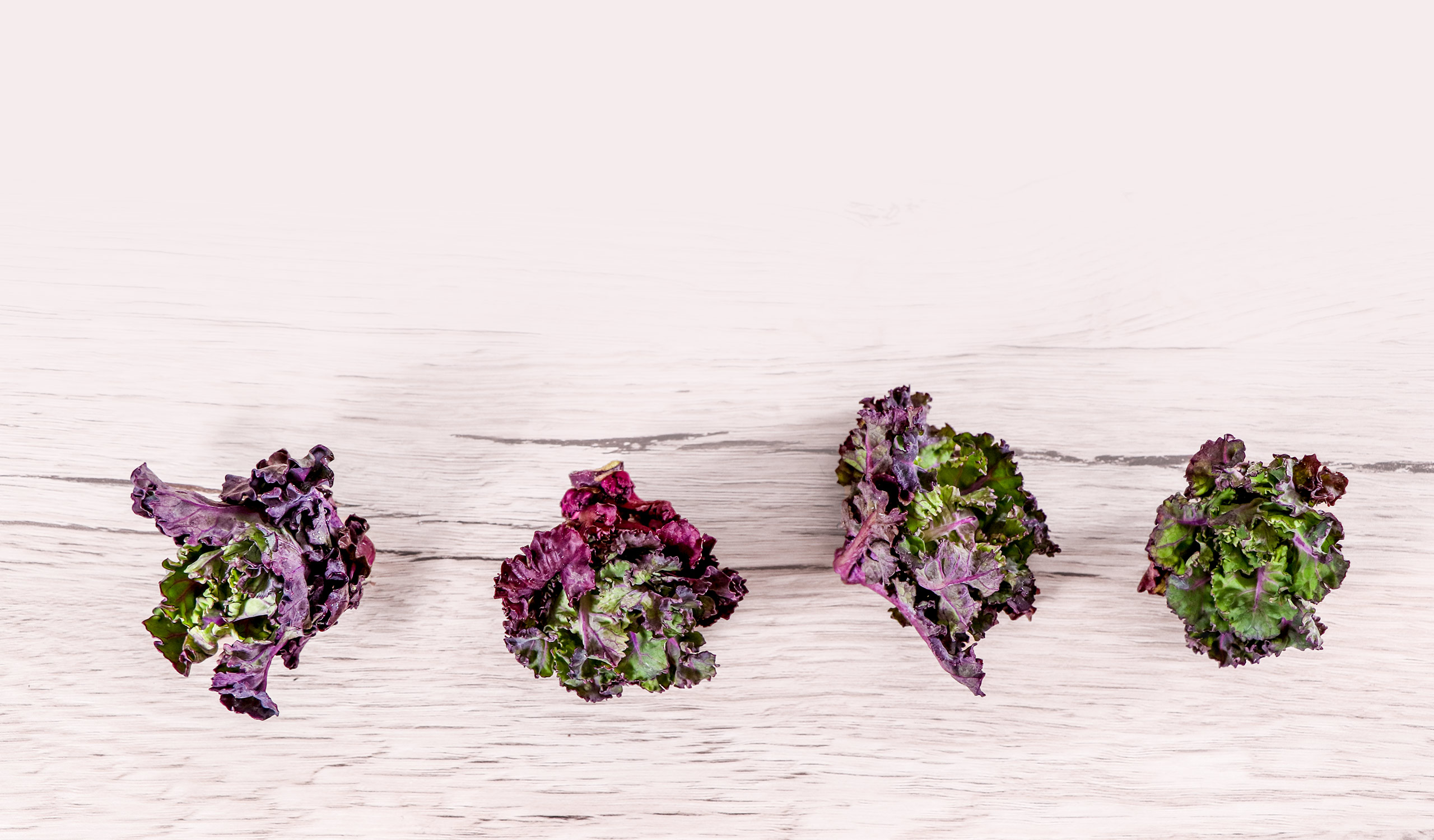 Kalettes.ch – Kalettes, das Gemüse mit dem gewissen Etwas